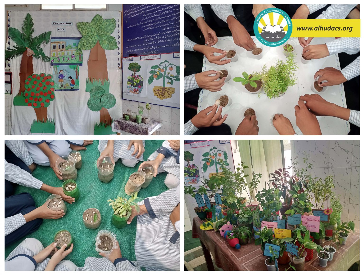 Plantation & Kitchen Gardening! | ACS – AlHuda Community School